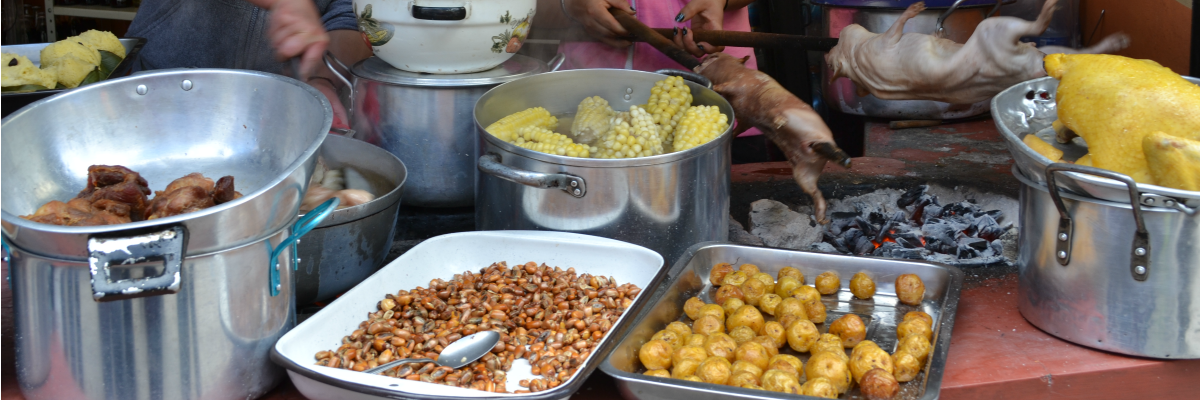 Comida contaminada adoece milhões por ano - Instituto Humanitas ...