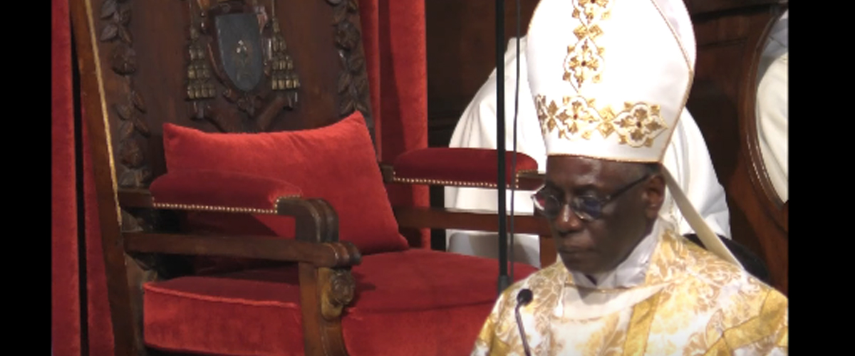 Carta inédita do Papa Francisco ao Cardeal Sarah salienta a visão por ...