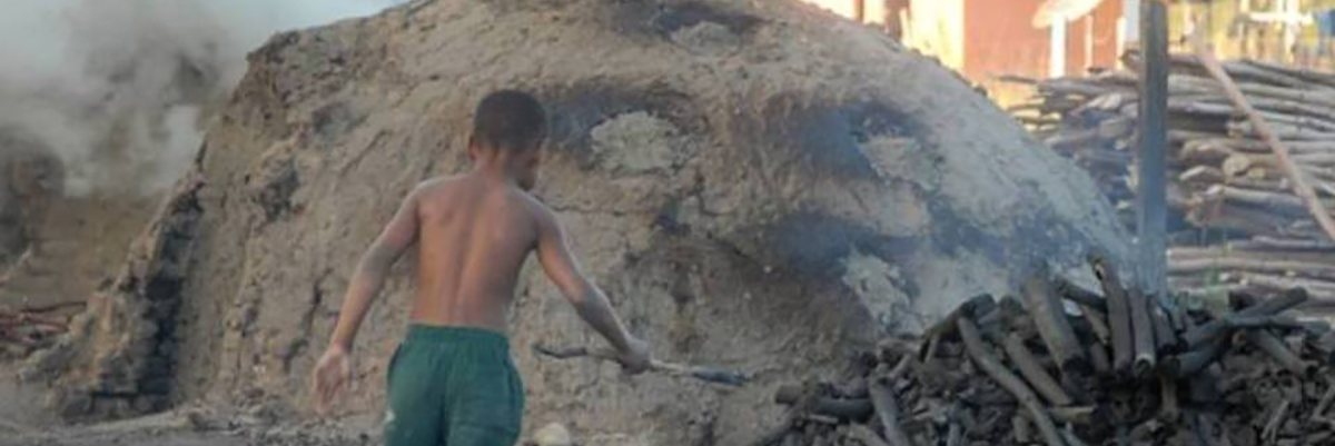 Trabalho Infantil Quase 1 Milhão De Menores Trabalham Em Situação