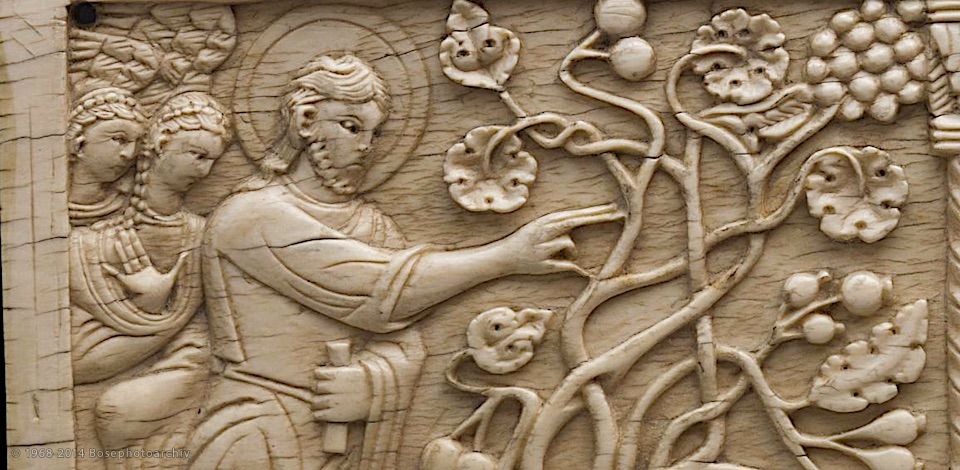 Jesus, a videira verdadeira - Instituto Humanitas Unisinos - IHU