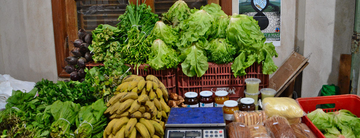Eleição também será escolha entre agrotóxico e agroecológico ...