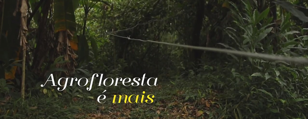 Fiocruz lança documentário ‘Agrofloresta é mais’ - Instituto Humanitas ...