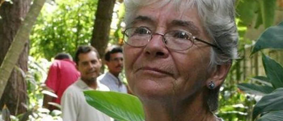 Agora mais do que nunca: Irmã Dorothy Stang - Instituto Humanitas ...