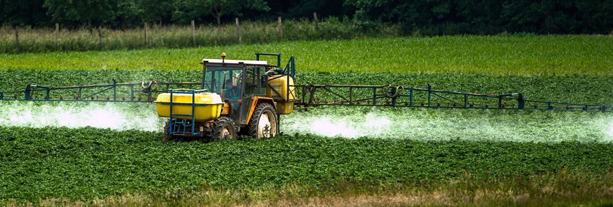 O que o agrotóxico do agronegócio está matando - Instituto Humanitas ...