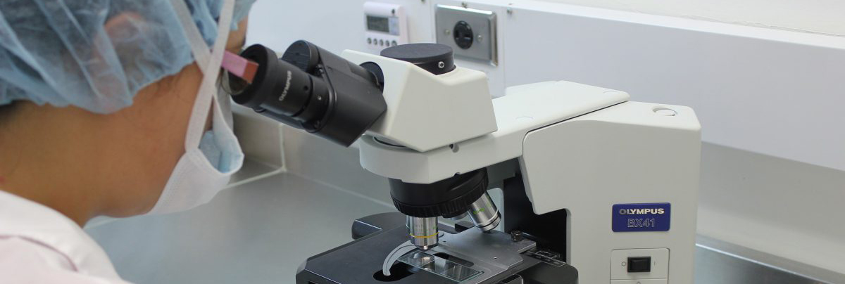 ‘Sem ciência o futuro está completamente comprometido’, entrevista com ...