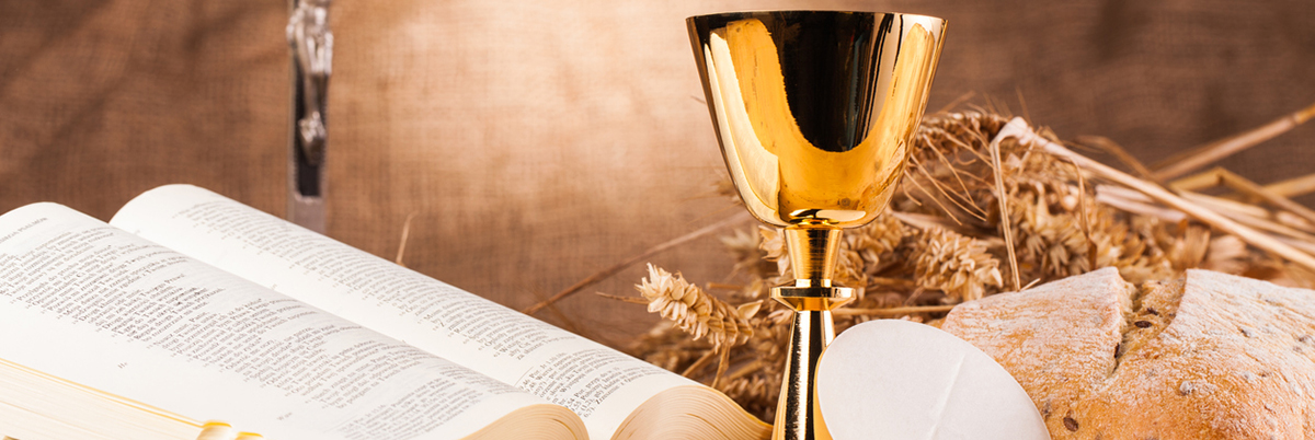 Quando o coordenador laico pode celebrar a Ceia do Senhor - Instituto ...