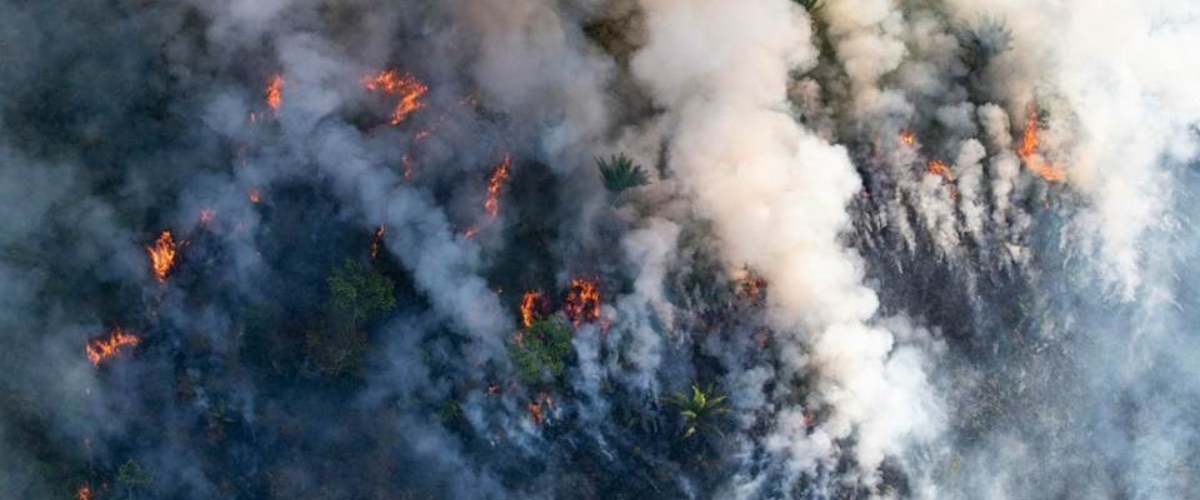 Os incêndios na Amazônia e o poder da pressão internacional - Instituto ...