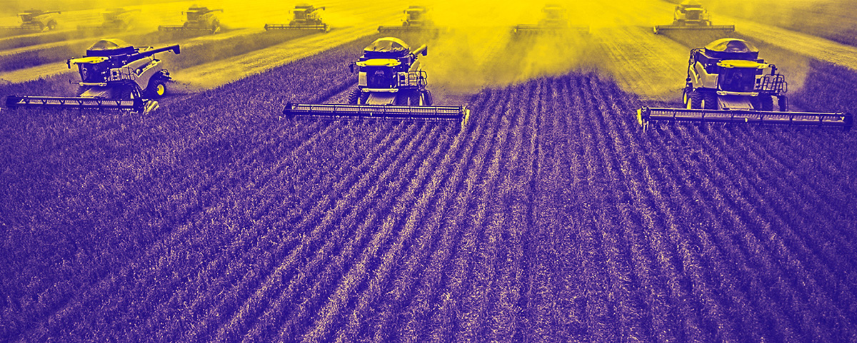 “É preciso romper com o modelo capitalista agroexportador”. Entrevista ...