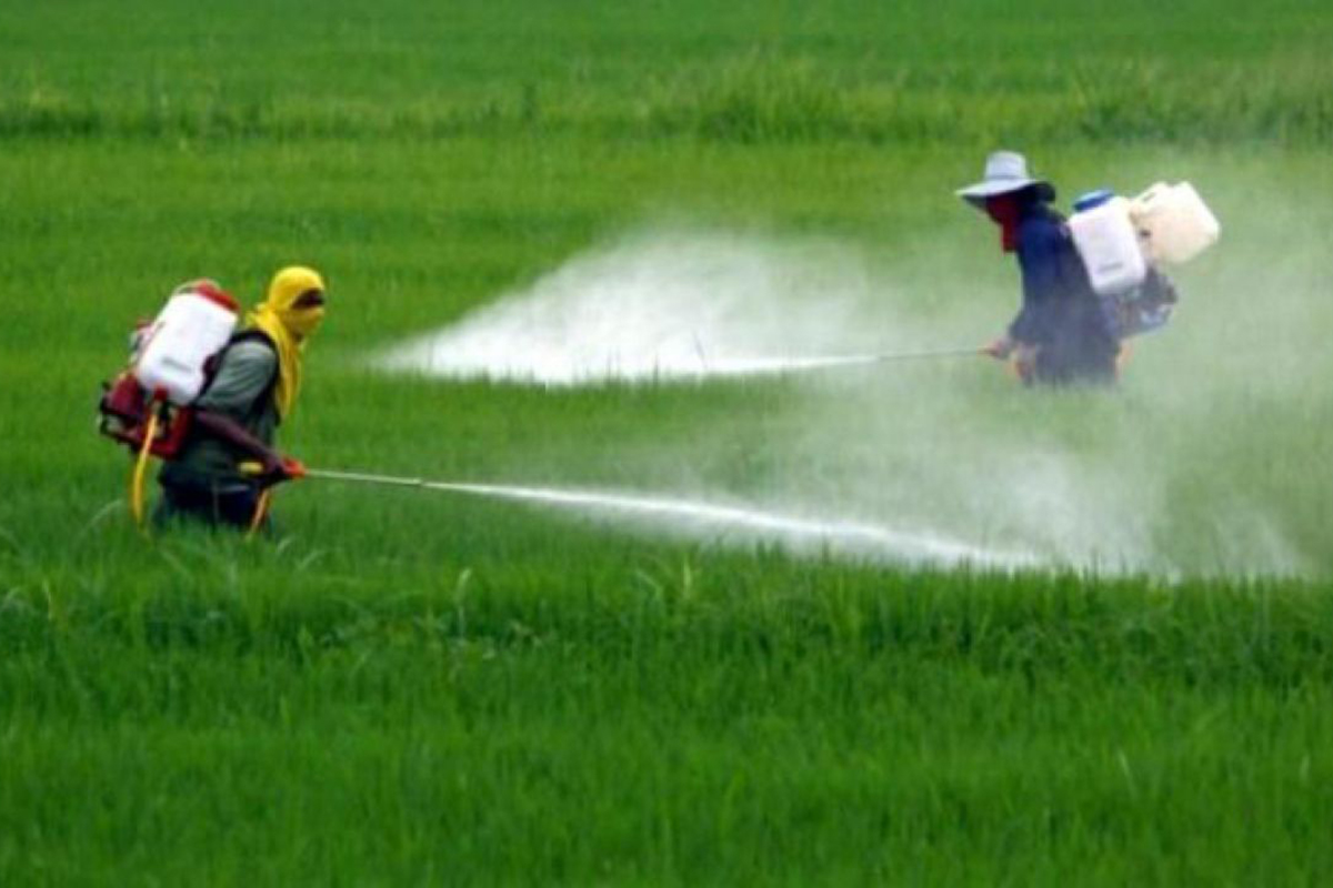 A reclassificação toxicológica dos agrotóxicos e os impactos do ...