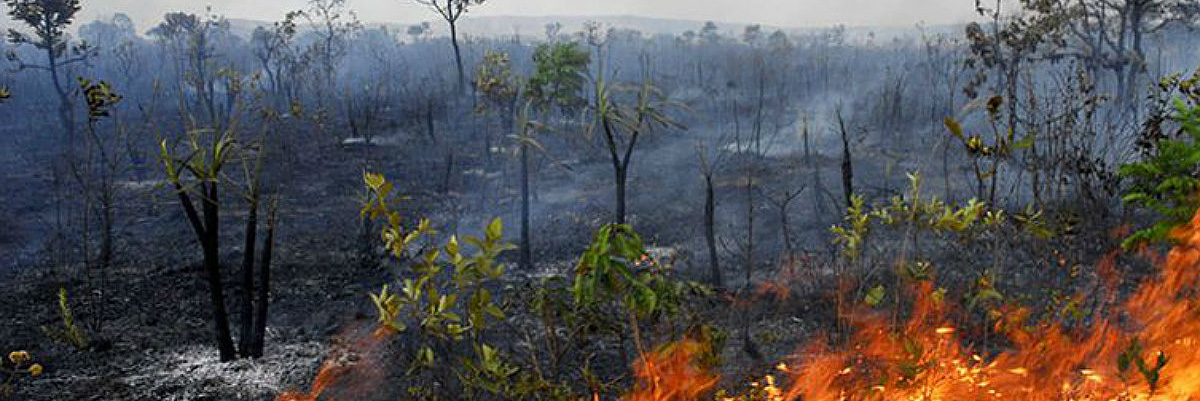 Poluição por incêndios florestais no Brasil agrava qualidade do ar em ...