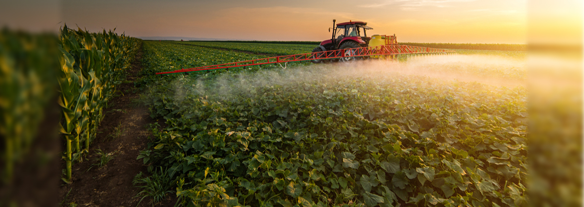 Agrotóxicos proibidos na UE voltam à França em alimentos importados de ...