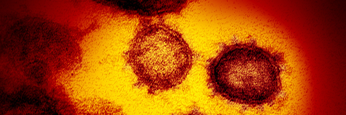 Sem presbítero não, mas sem povo sim? Artigo de Simona Segoloni Ruta ...