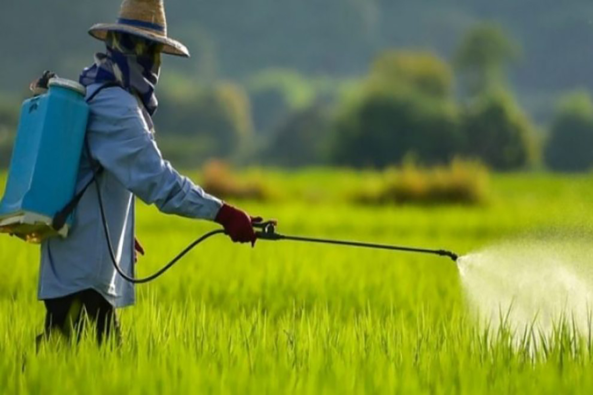 Aprovação automática de agrotóxicos em 60 dias visa aumentar o lucro e ...