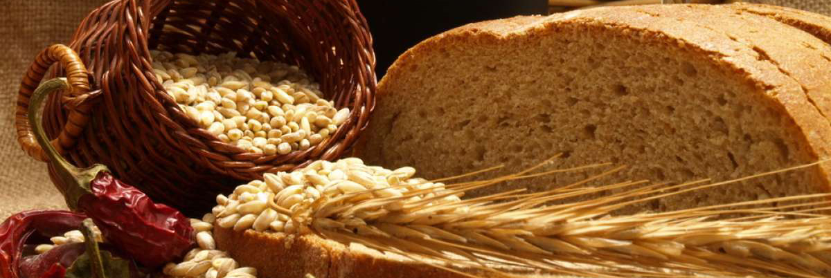 Pão e memória. Artigo de Raniero La Valle - Instituto Humanitas ...