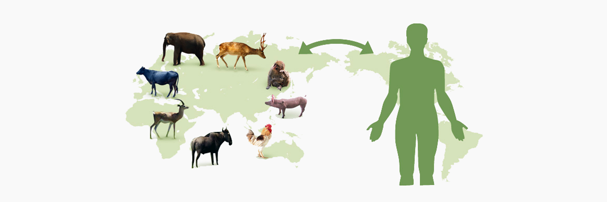 O que é a zoonose, fenômeno natural muito antigo que está na origem das ...