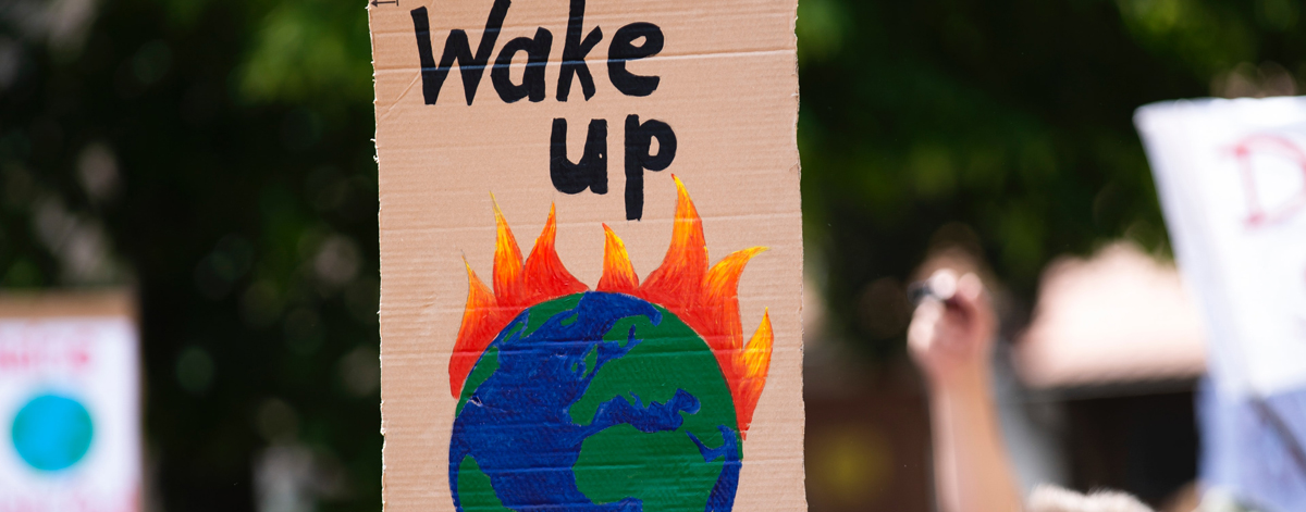 Ecocídio, entenda o que é e suas consequências - Instituto Humanitas ...