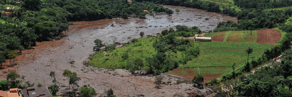 O que é um Ecocídio? - Instituto Humanitas Unisinos - IHU