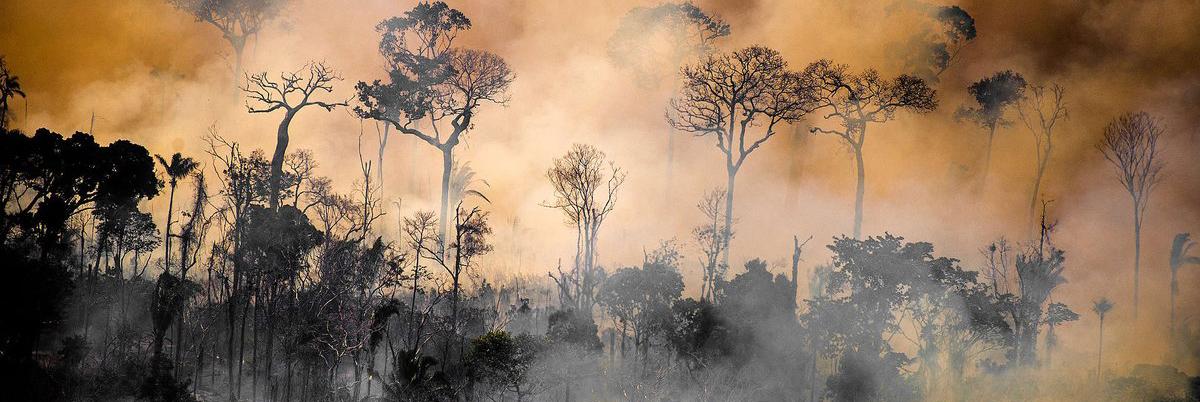 MapBiomas Fogo – 17,5% do Brasil já queimou pelo menos uma vez em 20 ...