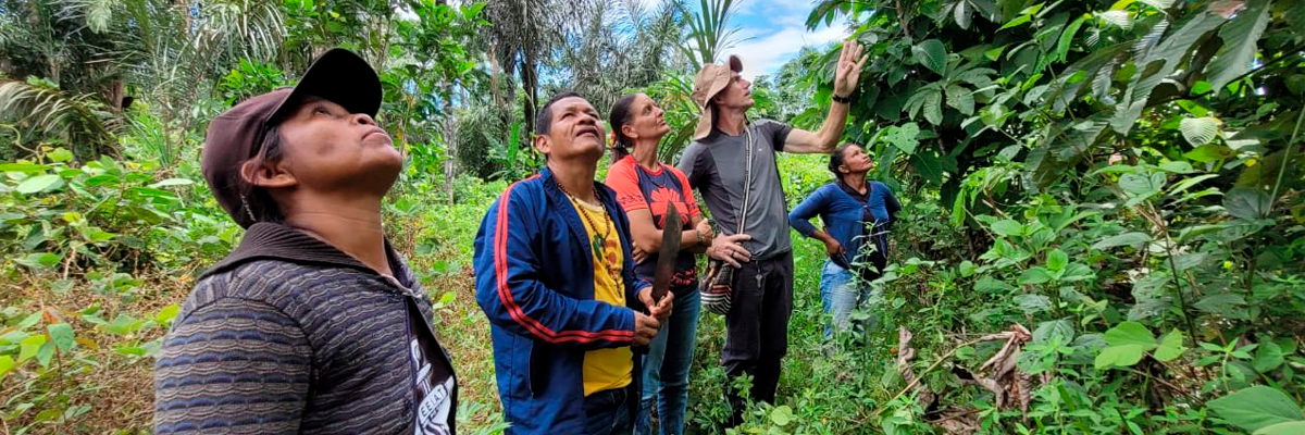 Aula Viva na Agricultura Agroflorestal: uma Igreja que atravessa as ...