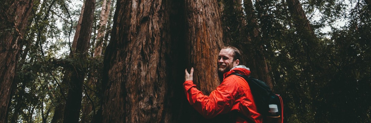 Clima: por que é possível vencer o fatalismo - Instituto Humanitas ...