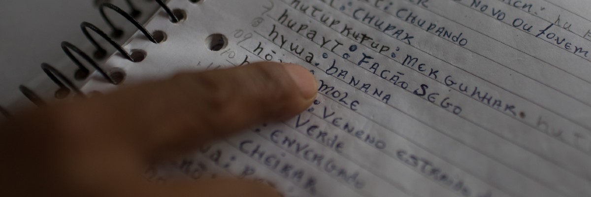 Unesco inicia Década Internacional das Línguas Indígenas - Instituto ...