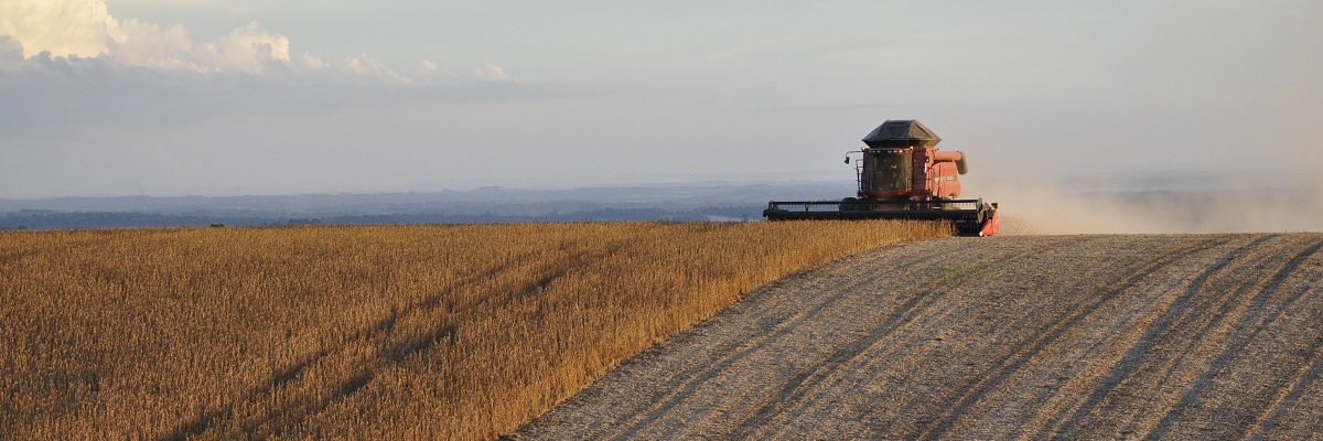 O PIB do agro é isso tudo? - Instituto Humanitas Unisinos - IHU