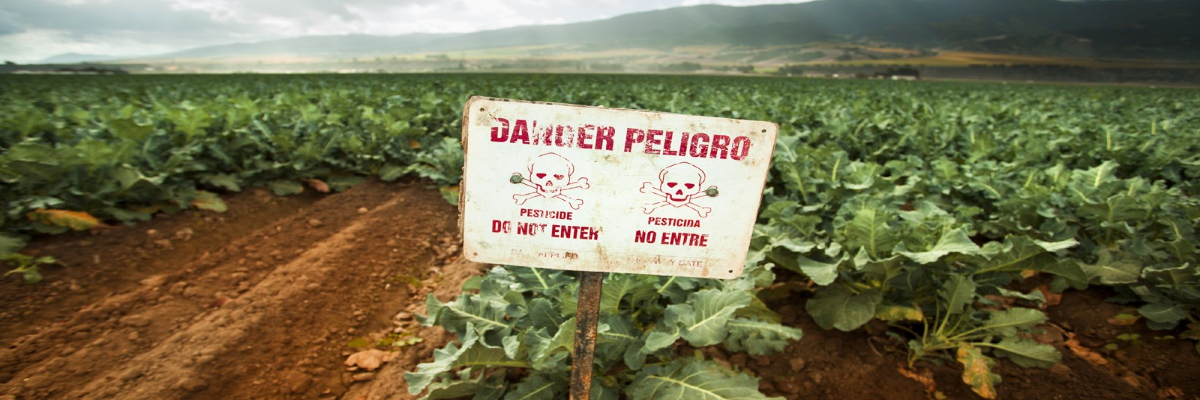 Mais agrotóxicos no país que voltou a passar fome - Instituto Humanitas ...