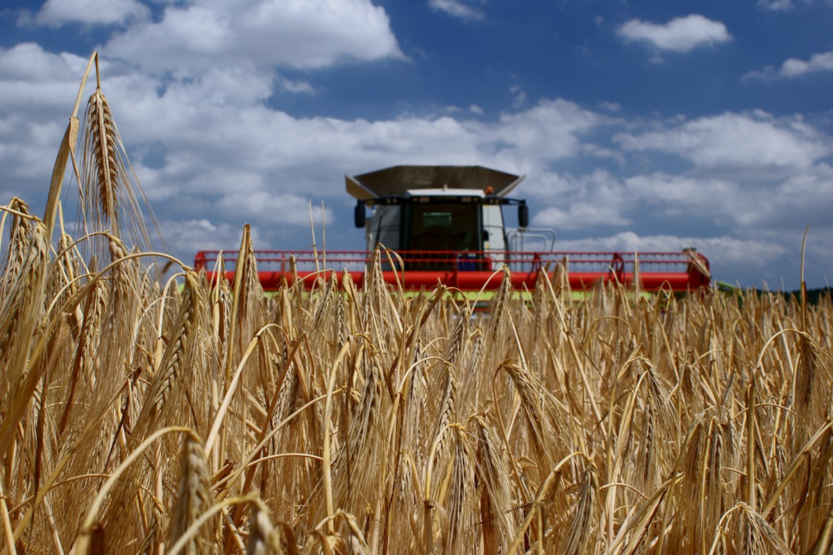Projeto fazendão versus Plano de Metas à la JK. Eleições 2022 e a ...