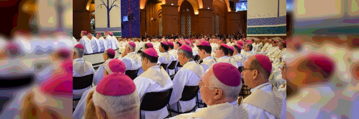 Bispos do diálogo pelo Reino chamam a votar “com consciência e calma ...