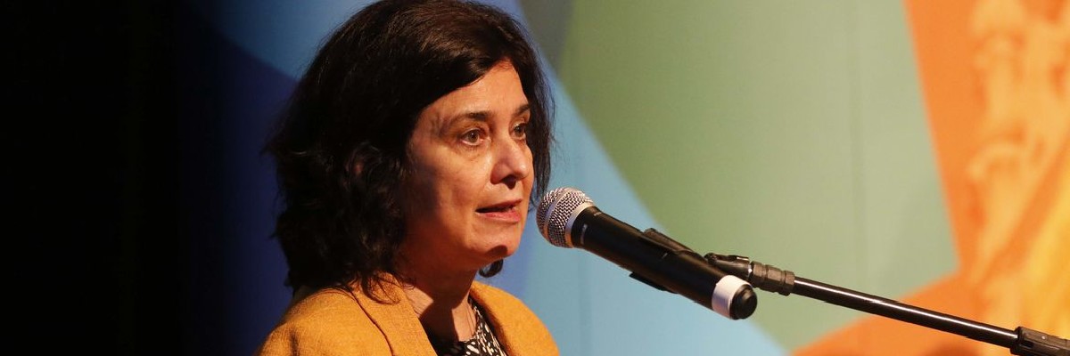 Os primeiros dias de Nísia na Saúde - Instituto Humanitas Unisinos - IHU