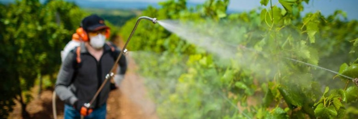 Sufocado por agrotóxicos perigosos, Brasil tem de avançar na transição ...