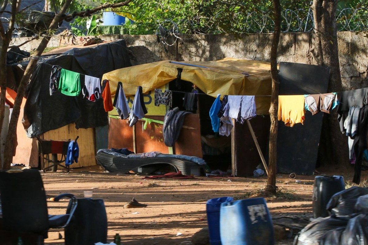 O panorama da fome no Brasil: um problema social que transcende números ...