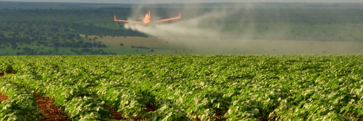 MST pede o fim da pulverização de agrotóxicos e produção de alimentos ...