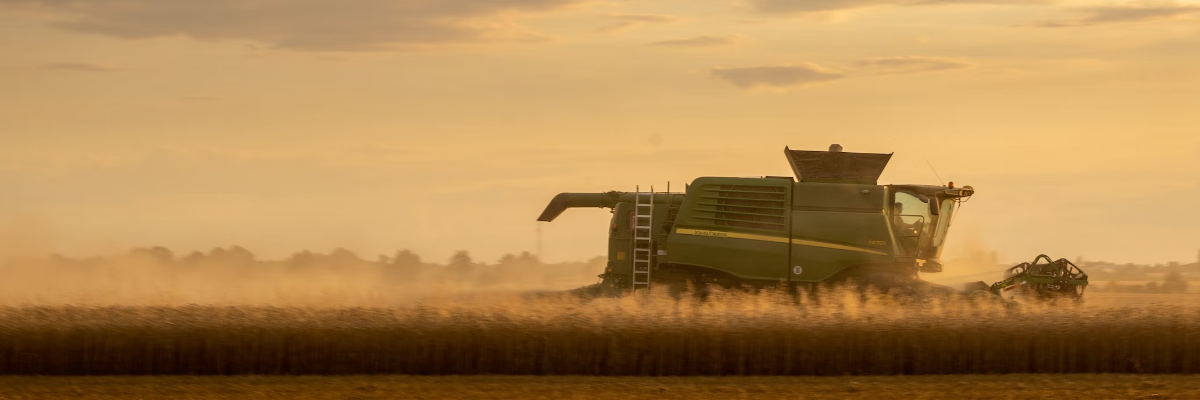 A armadilha (7). Artigo de Jean Marc von der Weid - Instituto Humanitas ...