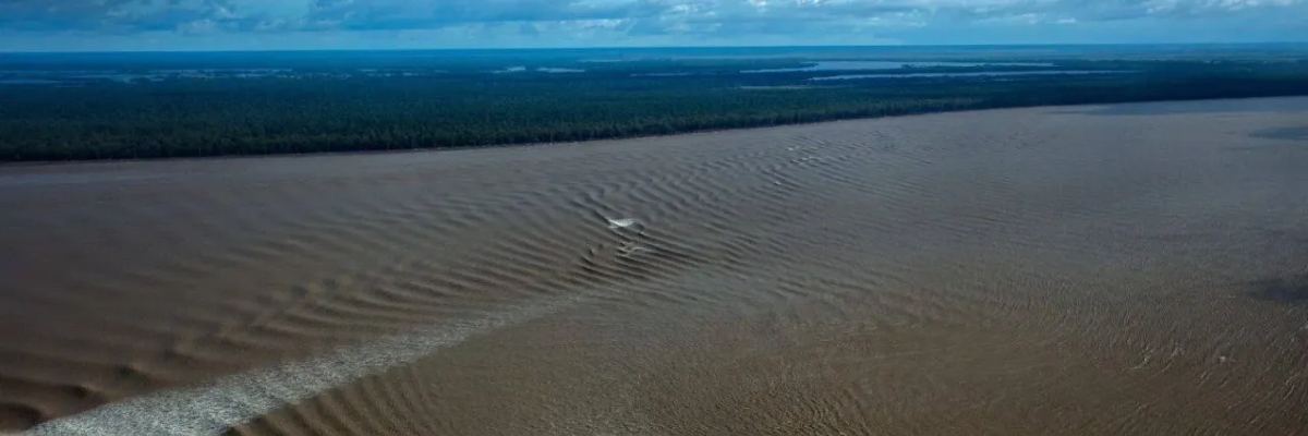 Foz do Amazonas: Brasil deveria conduzir avaliação ambiental ...