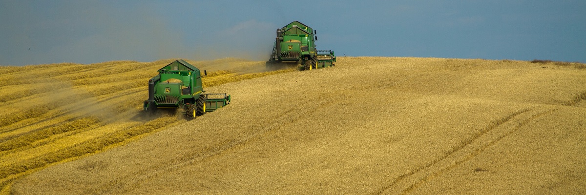 Produção industrial de alimentos inunda o mundo com 80% a mais de ...