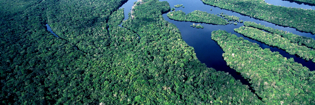 “O que está acontecendo na Amazônia deve nos manter acordados a noite ...