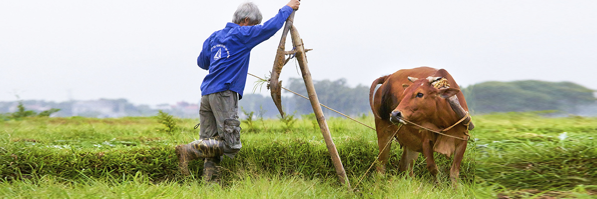 Metade da população mundial depende de sistemas agroalimentares ...