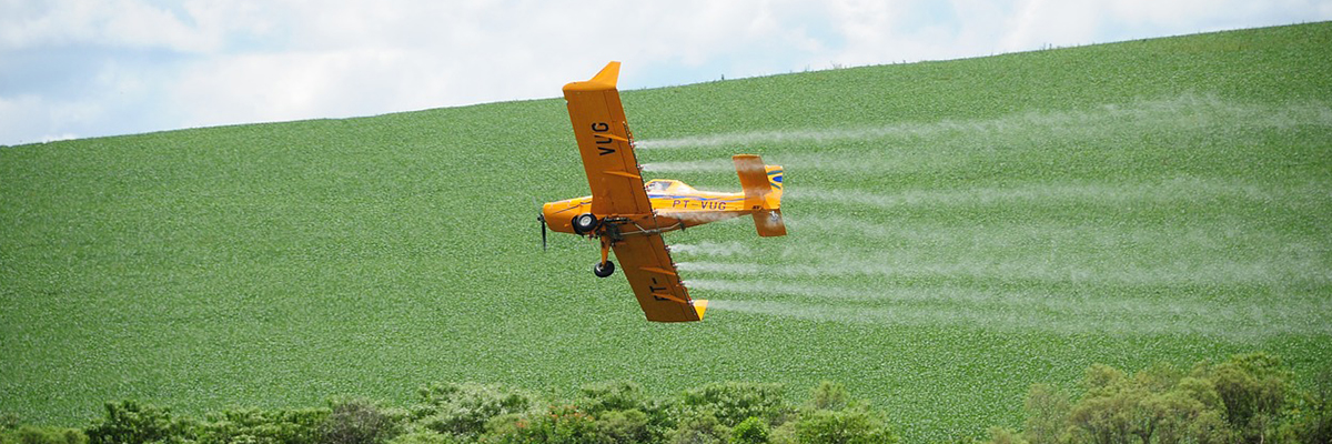 10x0: STF determina que é constitucional lei que proíbe pulverização de ...