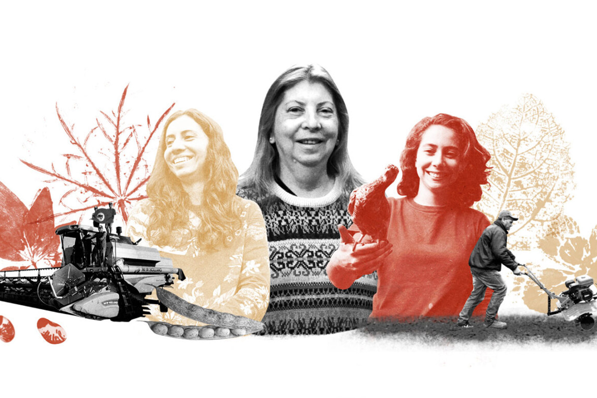 A agroecologia pode alimentar o mundo, mas falta investimento ...