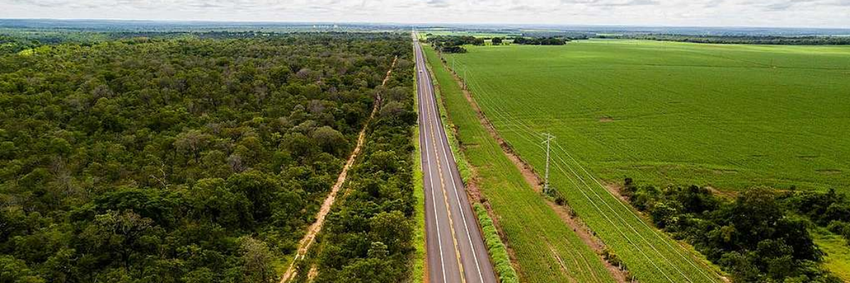 Desmatamento cresceu 37% no MATOPIBA em 2022, mostra o MapBiomas ...