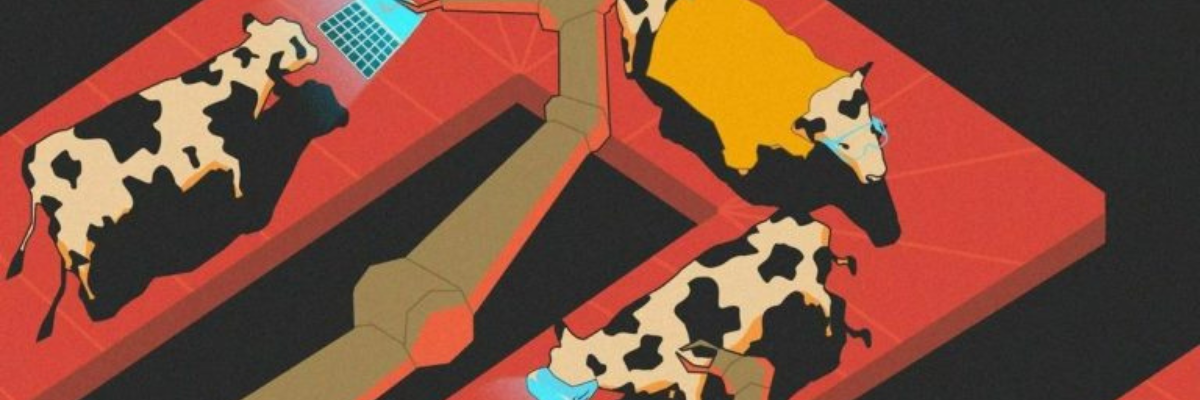 Agro aciona “máquina de desinformação” para defender marco temporal ...