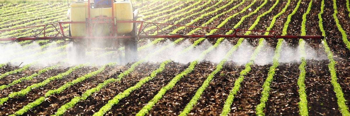 Sistema de saúde brasileiro paga caro pelo abuso de agrotóxicos ...