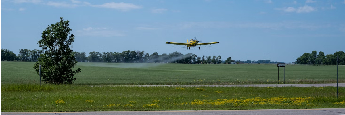 Ritmo de liberação da agrotóxicos do governo tende a superar o de ...