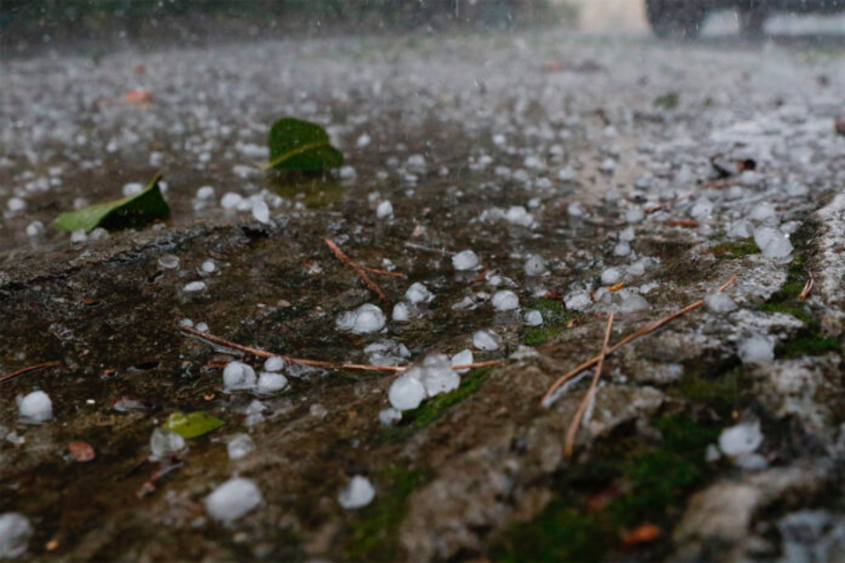 Efeitos da queda de granizo poderão ser mais impactantes em função das ...