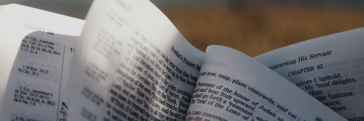 A leitura é um exercício espiritual. Artigo de Antonio Spadaro ...