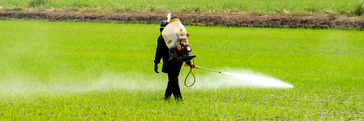 Mercado Livre e Magalu vendem agrotóxicos ilegalmente como antipulgas ...