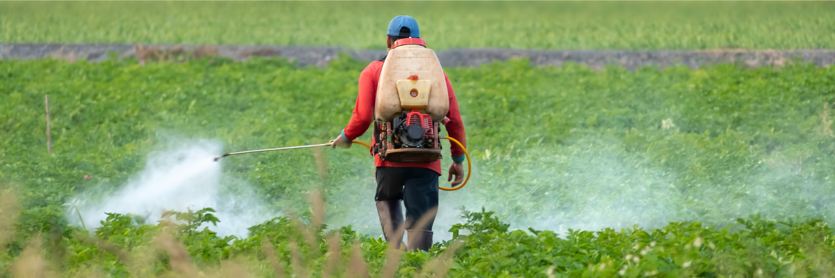 “Guerra química” intoxica comunidades no Maranhão - Instituto Humanitas ...