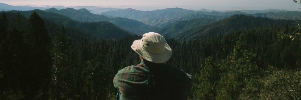 Declaração universal dos direitos humanos e direito a todas as formas ...