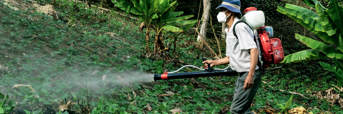 Deputados ‘pró-vida’ aprovaram lei que facilita agrotóxicos associados ...